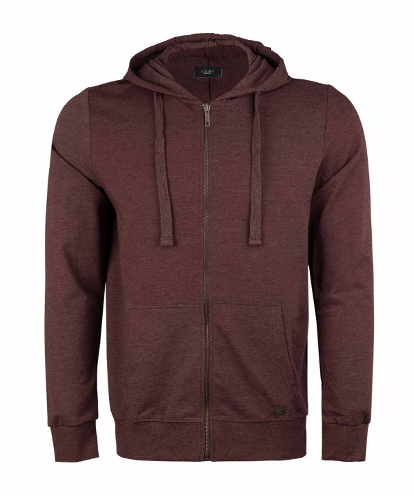 سویشرت کلاه دار مردانه کالینز Colins کد CL1002717|رنگ بادمجانی روشن-بانی مد